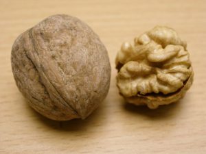 walnut price per kg - www.anatanuts.com - walnut kernels